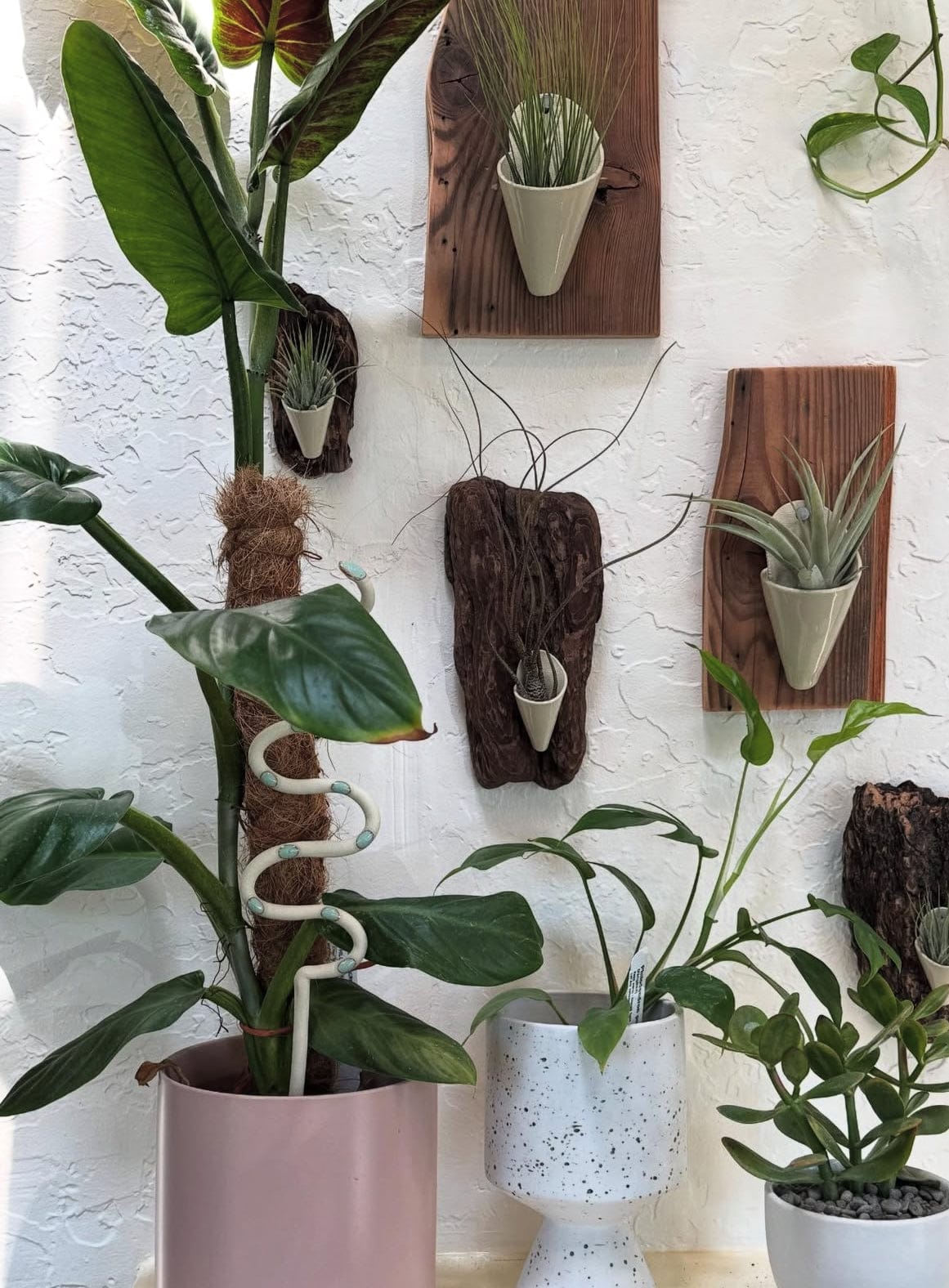 Carter & Rose Ceramic Wall Snake | Handmade Wall Art – My American Goods