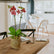 Capricious Orchid Planter Pot – My American Goods